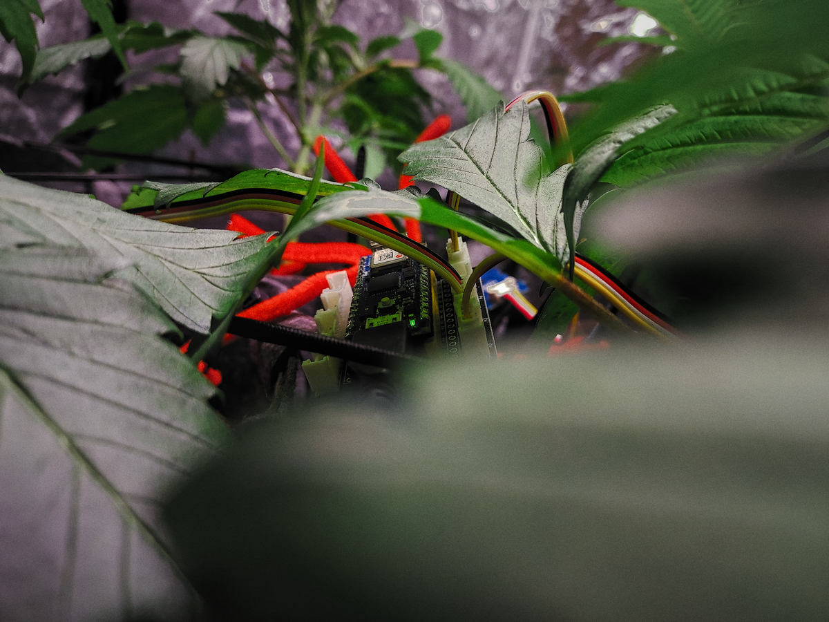 Cultive Tech & Empowering Cannabis Growers with SMART Growing Solutions